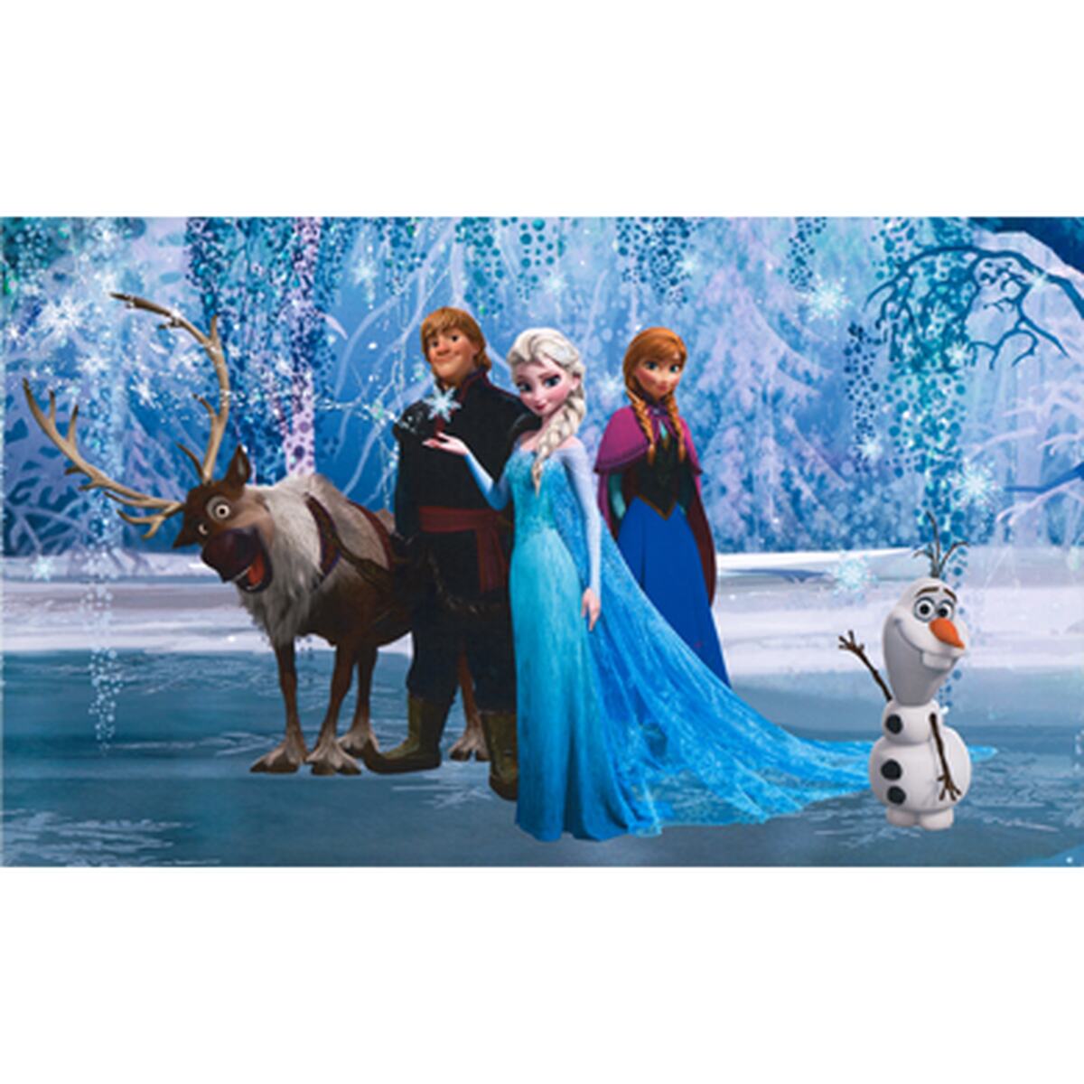 Toile Lumineuse Led Reine Des Neiges 50 X 30 Cm 4murs