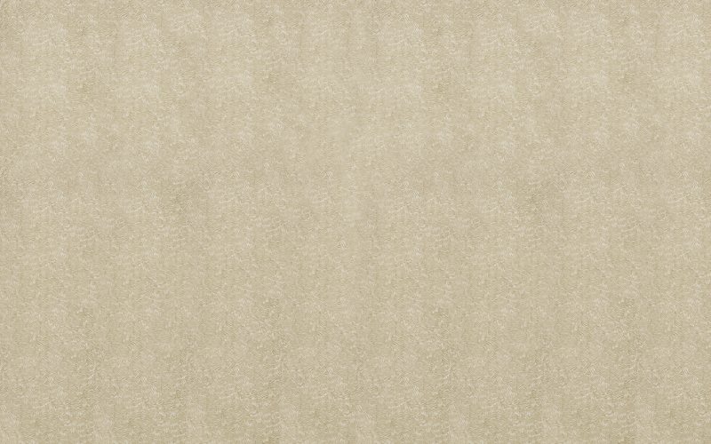 Papier peint intissé CHARMING coloris doré - 4MURS