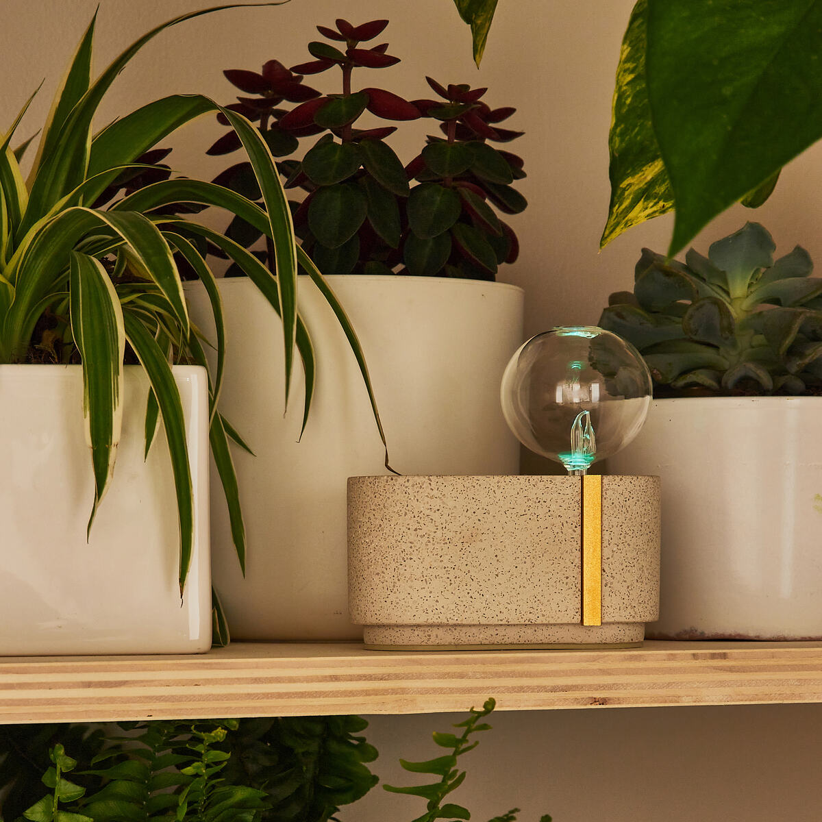 Diffuseur par nébulisation CIMIO - 4MURS