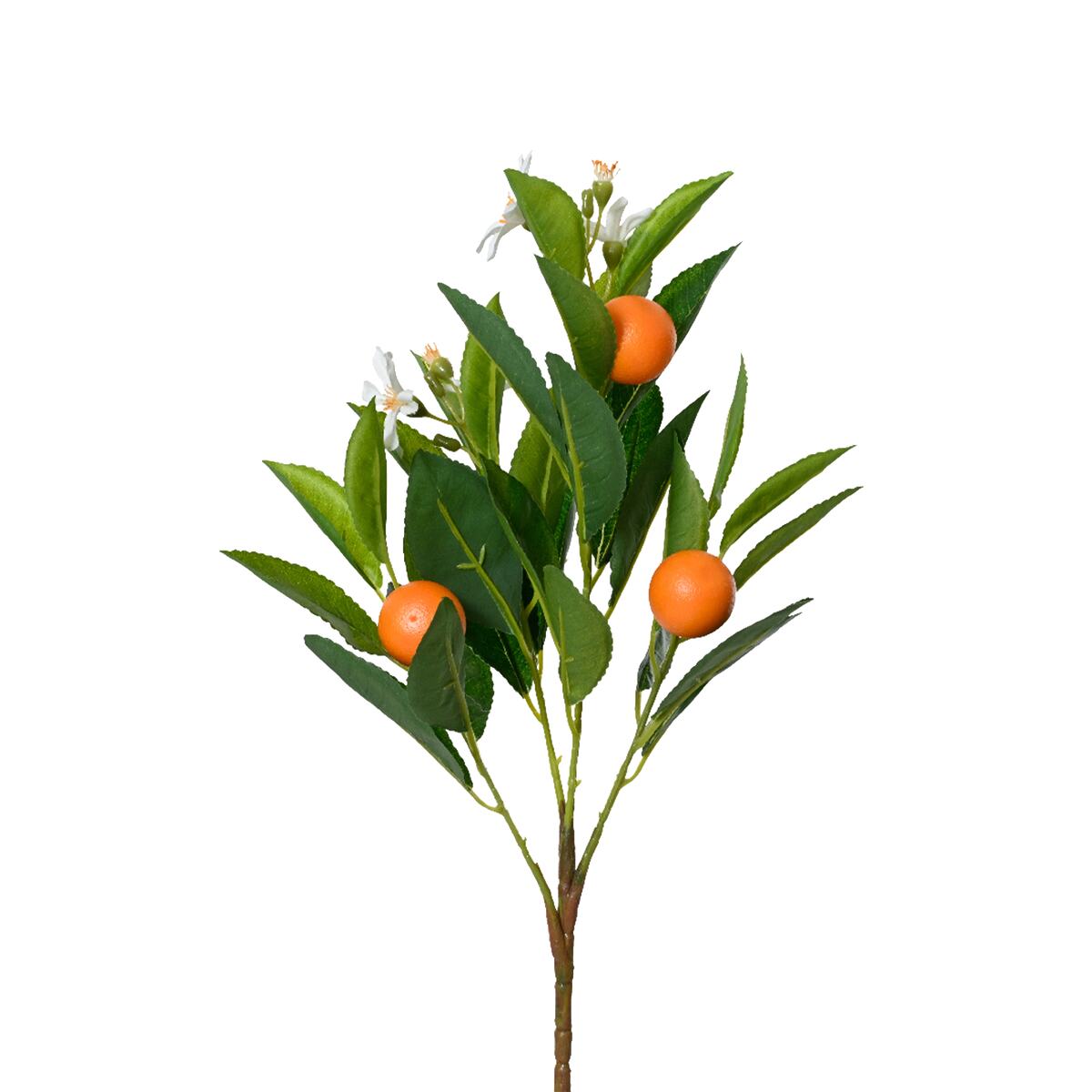 Plante artificielle ORANGER coloris Vert,orange - 4MURS